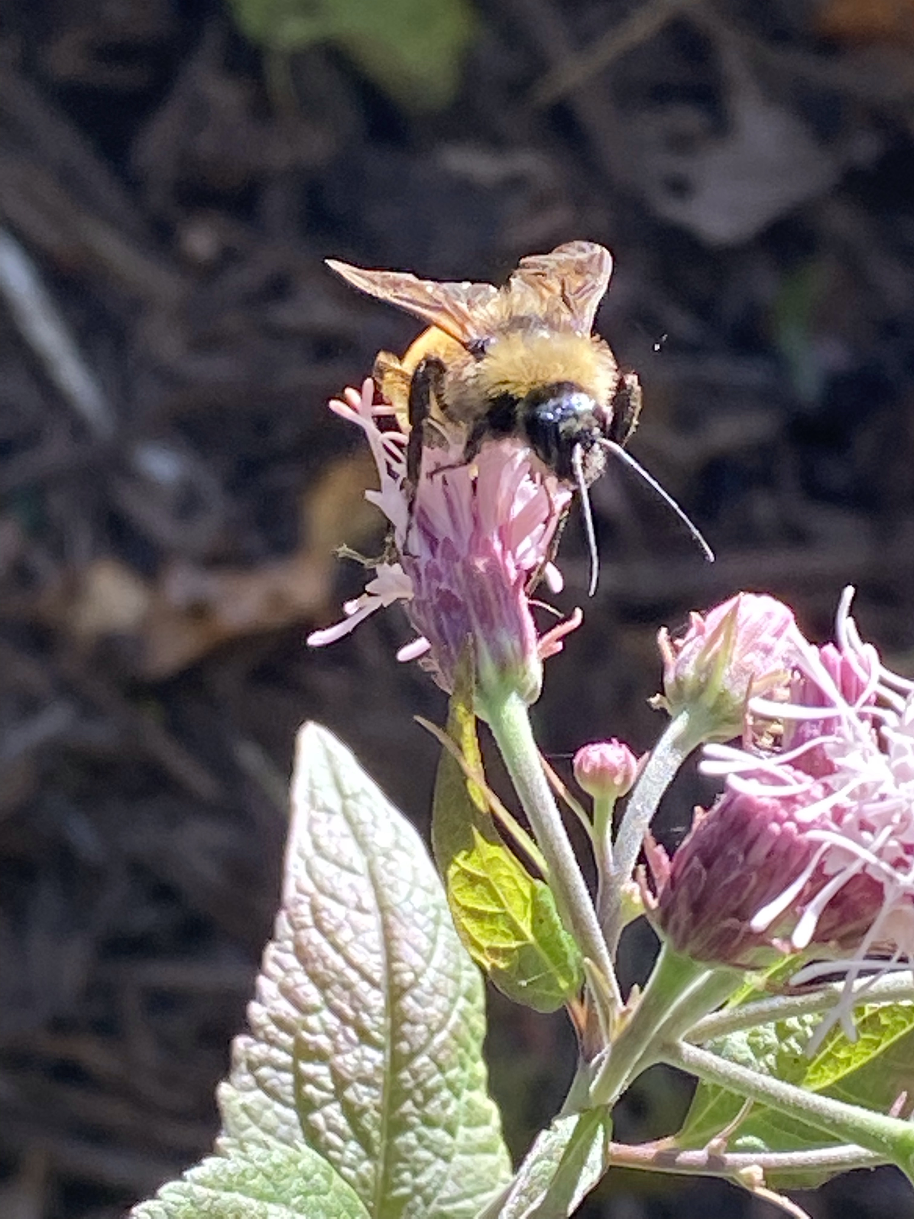 Finding Inspiration – Balanced On the Edge